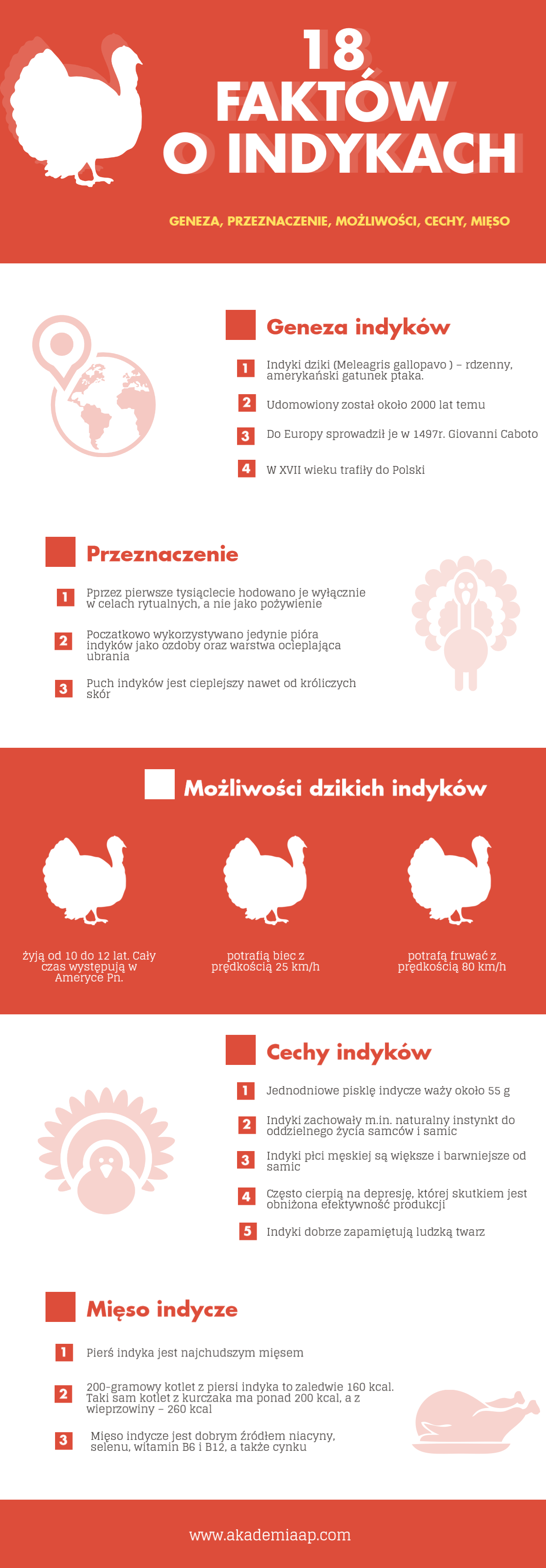 Tajemnice indyka, czyli fakty które powinieneś wiedzieć!